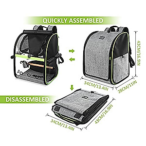 Pecute Bird Carrier Backpack, Parrots Bird Backpack with Visible Window, Adjustable Height Standing Perch, Feeding Cans, Waterproof Pads, Lightweight Foldable Birds Travel Cage for Hiking Camping