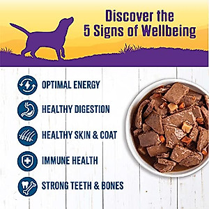 Wellness Thick & Chunky Natural Canned Dog Food, Venison & Salmon Stew, 12.5-Ounce Can (Pack of 12)
