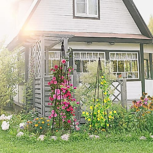 Lalahoni 2 Pack Garden Trellis for Climbing Plants Outdoor Indoor Pot | 67inch Tall Plants Trellis Support for Climbing Vines Vegetables Plants | Garden Obelisk Trellis, Lightweight, Black