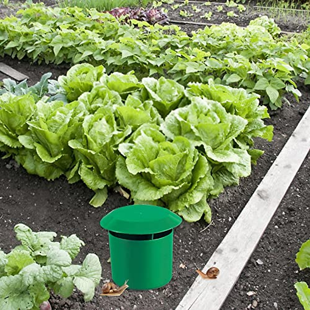 Snail Trap,Snail Cages Snail Trap with Roof - Snail Catch Box Durable and Reusable Slugs Trap Plant, Useful Garden Tools Aquarium Fish Tank Accessories