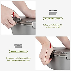 Cherrysea 2Pack Salad Lunch Container, 68oz Salad Bowls with 4 Compartments Tray,Leak Proof Lunch Box with Fork for Men,Women BPA-Free Snack Container with Sauce Container for Dressings-Grey