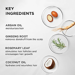 MOEHAIR Hair Guard Conditioner | Strengthens Roots and Boosts Hair Follicles | Moisturizing Conditioner | Infused with Vitamin-E, Argan Oil & Ginseng | Paraben & Sulfate Free Conditioner (12 Fl. Oz)