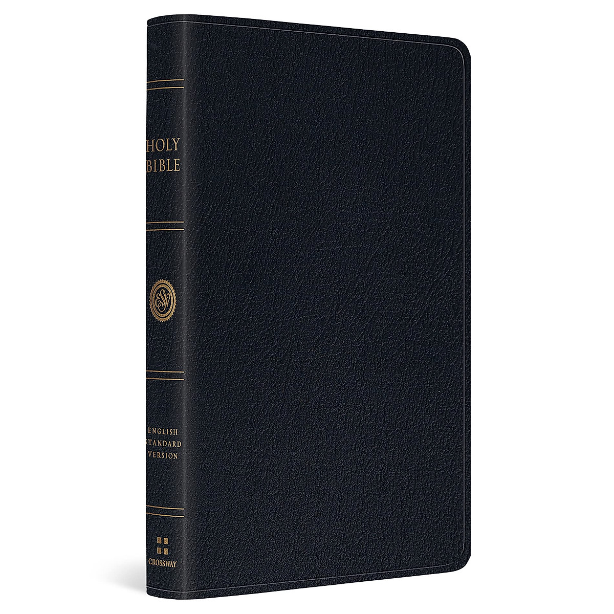 ESV Large Print Thinline Reference Bible (Black)