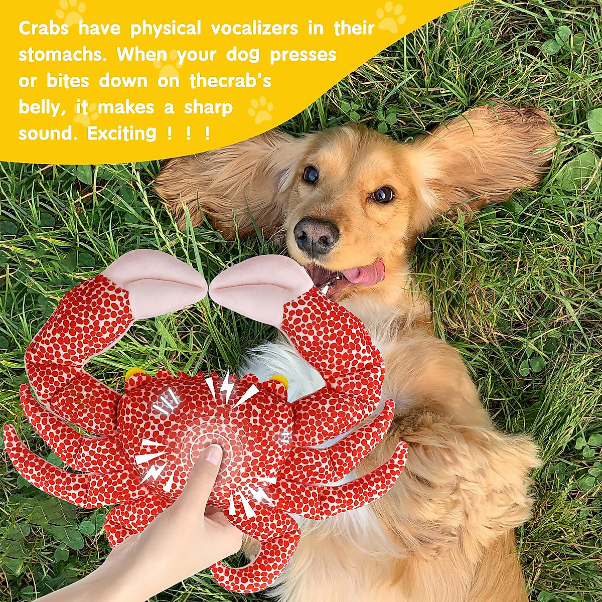 SUJOER Squeaky Crab Dog Toy,Dog Birthday Toy,Interactive Dog Toys for Boredom,Pink Puppy Dog pals Toy,Funny Toys for Dogs to Keep Them Occupied,Cute Best Dog Toys to Keep Them Busy