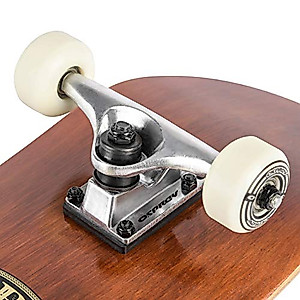 Osprey Skateboards for Beginners | 31 x 8 Inch Adult Skateboard with 7 Layer Canadian Maple Deck, Double Kick Concave Skateboard for Riding and Tricks, Multiple Designs