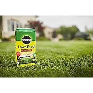 Miracle-Gro 1001833 Lawn Food Water Soluble Lawn Fertilizer (6 Pack), 5 lb