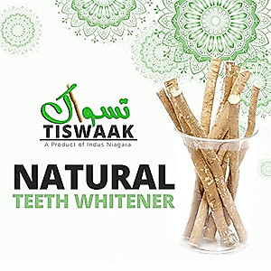 TISWAAK - Pack of 12 Miswak Stick Natural Teeth Whitening Kit – Muslim Natural Flavored Herbal Toothbrush Miswak Sticks Vacuum Sealed with Holder for Healthy Gums, Teeth & Fresher Breath || Pack of 12