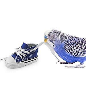 WBYJ Bird Training Toys, 7 Pack Parrot Intelligence Toy - Stacking Training Rings Toy, Skateboard Stand Perch, Mini Sneaker, Birds Bell Ball for Parrot Macaw African Greys Cockatoo Conure Cockatiel