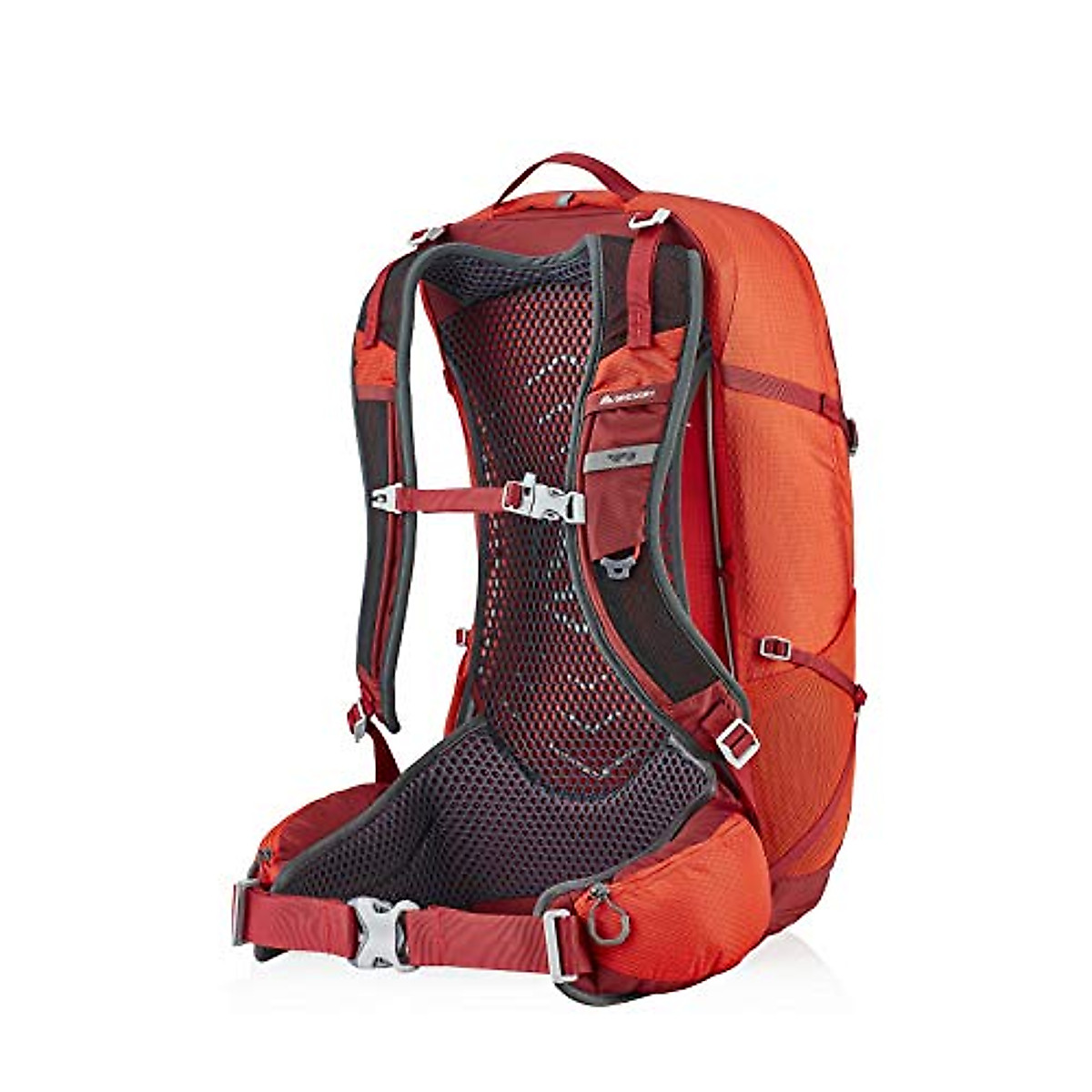 Gregory Mountain Products Men's Citro 30 Hiking Backpack, Vivid Red