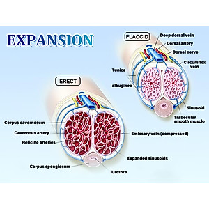 Electric Penis Enlarge Vacuum Pump with 4 Suction Intensities, Adorime Rechargeable Automatic High-Vacuum Penis Enlargement Extend Pump, Air Pressure Device Black