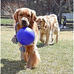 Jolly Pets Romp-n-Roll Rope and Ball Dog Toy, 8 Inches/Large, Blue, Model:608 BL