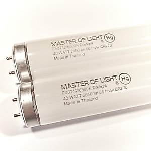 F40/D Daylight (2 Pack) 4 Foot 40 Watt T12 Fluorescent Tube Light Bulb 40W F40T12 Daylight Deluxe 6500K Replaces F40DX F40T12/865/ECO F40SP65/ECO F40DX/ALTO F40/LR/ECO/2P F40T12/DX (2)