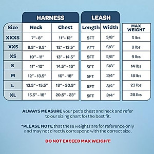 Voyager Step-in Air All Weather Mesh Harness and Reflective Dog 5 ft Leash Combo with Neoprene Handle, for Small, Medium and Large Breed Puppies by Best Pet Supplies - Set (Baby Blue), M