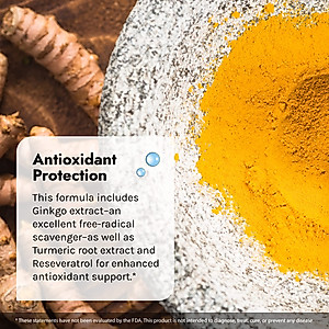 Irwin Naturals Double-Potency Ginkgo Biloba 240mg Extra Strength Brain Health Supplement - Enhance Memory, Mental Focus, Alertness, Concentration & Herbal Energy Booster - 60 Liquid Softgels