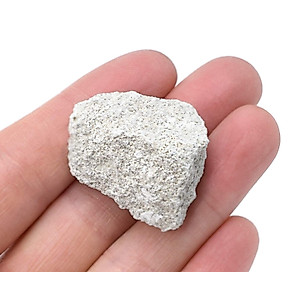 6PK Oolitic Limestone, Sedimentary Rock Specimens - Approx. 1" - Geologist Selected & Hand Processed - Great for Science Classrooms - Class Pack - Eisco Labs