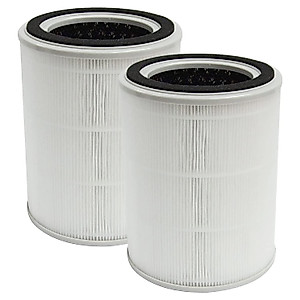 Homeland Goods Replacement Filter Toppin TPAP001 Air Purifier, 4-in-1 Pre-Filter, H13 True HEPA Filter, ap001 Allergen Absorber Air Filter 2 Pack