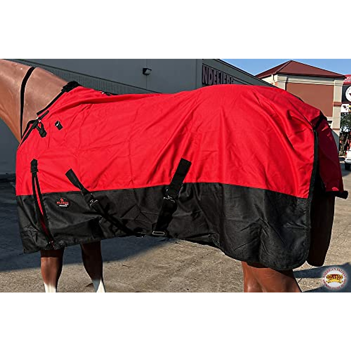 HILASON 600D Winter Waterproof Poly Pony Horse Blanket Red-56 Inches | Horse Blanket | Horse Blankets for Winter Waterproof | Horse Turnout Blanket | Horse Turnout