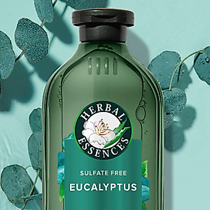 Herbal Essences Bio: Renew Aloe + Eucalyptus Sulfate Free Shampoo Scalp Balance, 13.5 Fl Oz, 5.491 Fl Oz