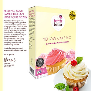 Better Batter Cake Mix Gluten Free Yellow -- 18.25 oz by Better Batter