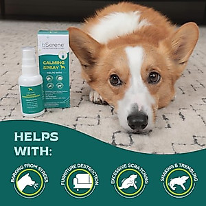 bSerene Pheromone Calming Spray for Dogs Helps Reduce Excessive Barking, Destruction, Stress, and Fear Great for Vet Visits, Boarding, and Targeted Calming, 60mL