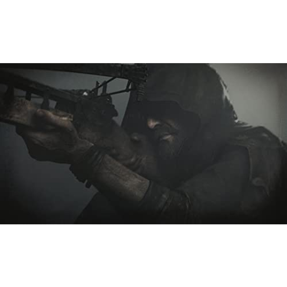 HUNT Showdown: Limited Bounty Hunter Edition - PlayStation 4