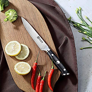 PAUDIN Chef Knife, 5 inch Professional Kitchen Utility Knife Forged of German Stainless Steel, Ultra Sharp Kitchen Knife with Triple Rivet G10 handle