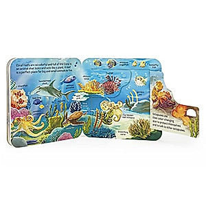 Peek-a-Flap Ocean Children's Lift-a-Flap Board Book for Children Learning about the Sea and Water Animals, Ages 2-5