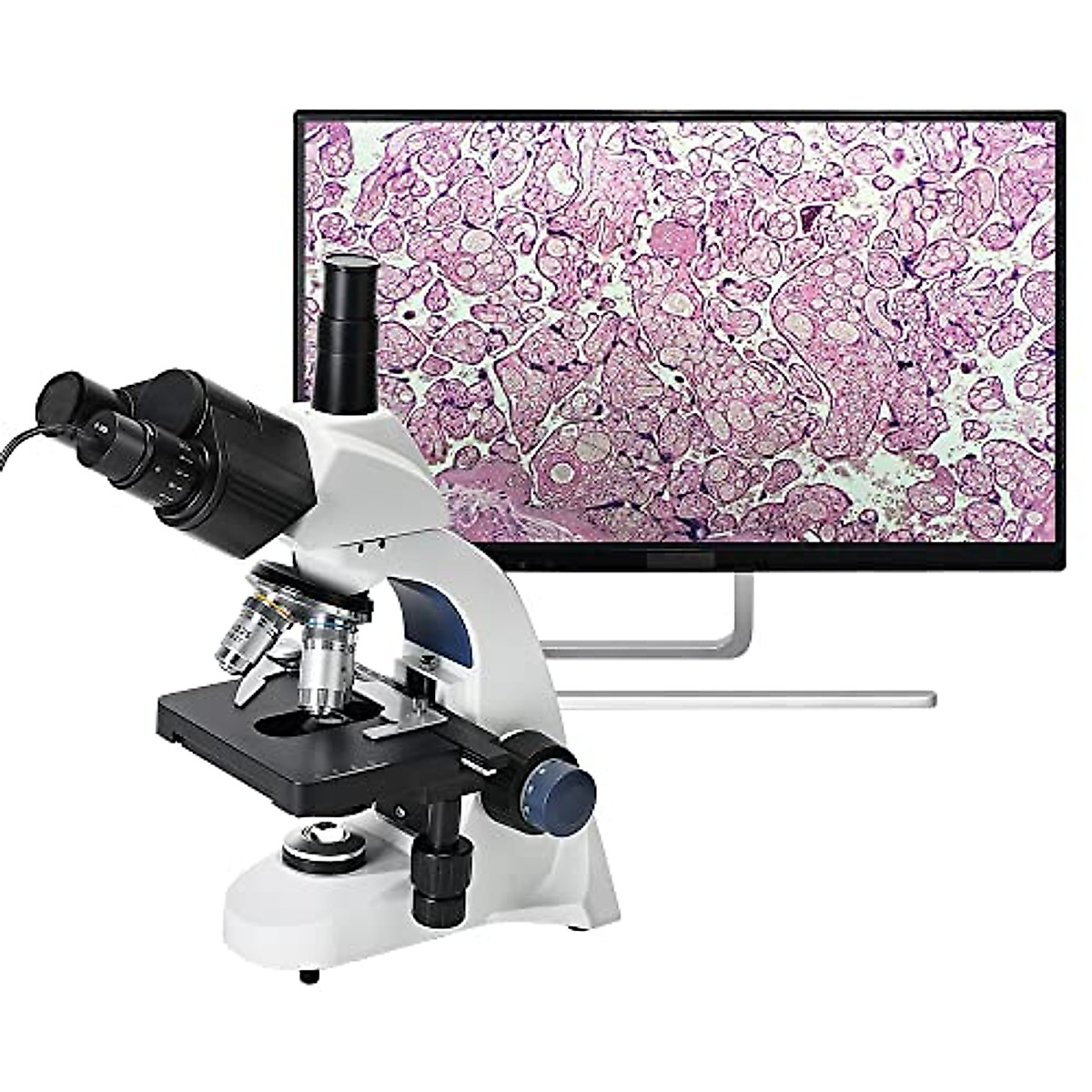 HAYEAR 5MP USB Digital Microscope Camera USB Digital Eyepeice Lens Tpye C USB Video Camera for Sience Education Lab Reserch with Free Calibration Software