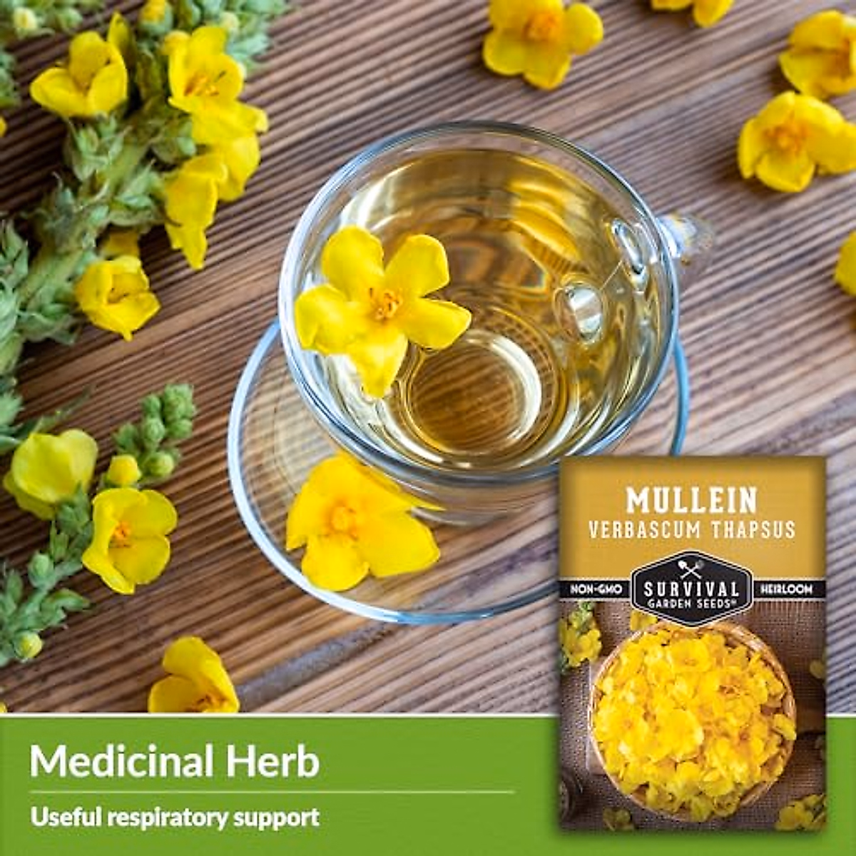 Mullein Seed for Planting - 1 Packet with Instructions to Plant and Grow Medicinal Herb Common Mullein in Your Home Vegetable Garden - Non-GMO Heirloom Variety - Survival Garden Seeds