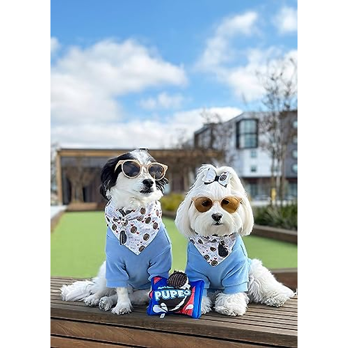 Fitwarm 3 Pack Classic Fleece Dog Sweater, Turtleneck Dog Sweatshirt, Dog Winter Clothes for Small Dogs Boy Girl, Pet Pullover Jumper, Cat Apparel, Blue, Grey, Navy, XS