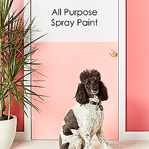 Krylon K05545007 COLORmaxx Spray Paint and Primer for Indoor/Outdoor Use, Gloss White 12 Oz (Pack of 2)