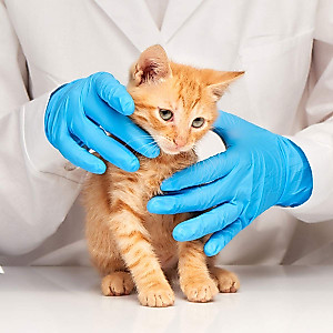 Basic Medical Blue Nitrile Exam Gloves - Latex-Free & Powder-Free - NGPF-7001 (Box of 100), Small