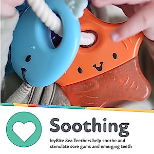 Nuby Ice Gel IcyBite Sea Teether Keys, 3M+ Multi