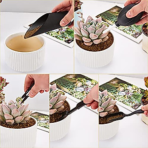 Succulent Tool Kit,54 Pcs Mini Garden Tools,Bonsai Tree Kit Plant Accessories Indoor Gardening Hand Tools with Repotting Mat, Succulent Kit for Plant Care,Gardening Gifts for Men & Women