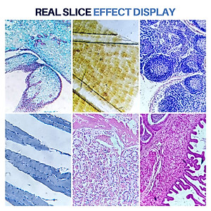 120Pcs Prepared Microscope Slides Animals Insects Plants Bacterial Sample Biological Slide Specimen for Kids Students Adults, for Science Study and Education