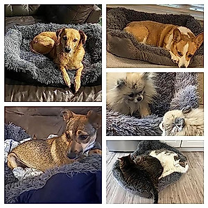 Titwest Dog Beds for Medium Dogs, Soft Fluffy Plush Rectangle Dog Bed, Machine Washable Dog Bed, Warming and Breathable Pet Sofa, Comfortable Orthopedic Dog Bed for Medium Dogs