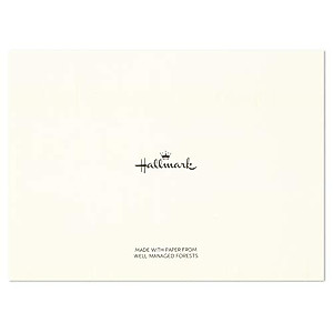 Hallmark Blank Cards (Stripes, Dots, Flowers, 40 Cards with Envelopes), Model Number: 5WDN2067