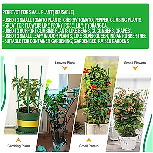 Plant Support Cages, Plant Support Stake, Metal Ring Garden Plant Stake, Gardening Plant Trellie, Green Plant Support Ring, Plant Cage, Plant Support for Tomato, Rose, Vine