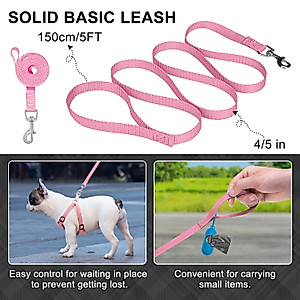 BEAUTYZOO Step in Dog Harness Collar and Leash Set for Small Medium Large Dogs, No Pull No Choke Puppy Harness, Soft Mesh Reflective Pet Padded Vest Adjustable for Doggie Girl or Boy,French Bulldog