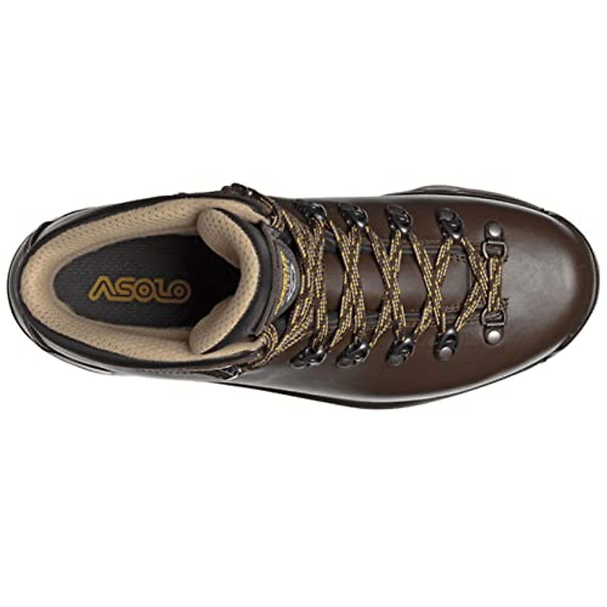 Asolo Men's TPS 520 GV EVO Long Distance, Backpacking, Trekking, Technical Terrian Hiking Boots (Chestnut, 11)