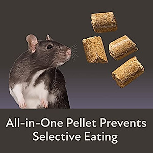 Kaytee Field+Forest Rat Food 2 Pounds