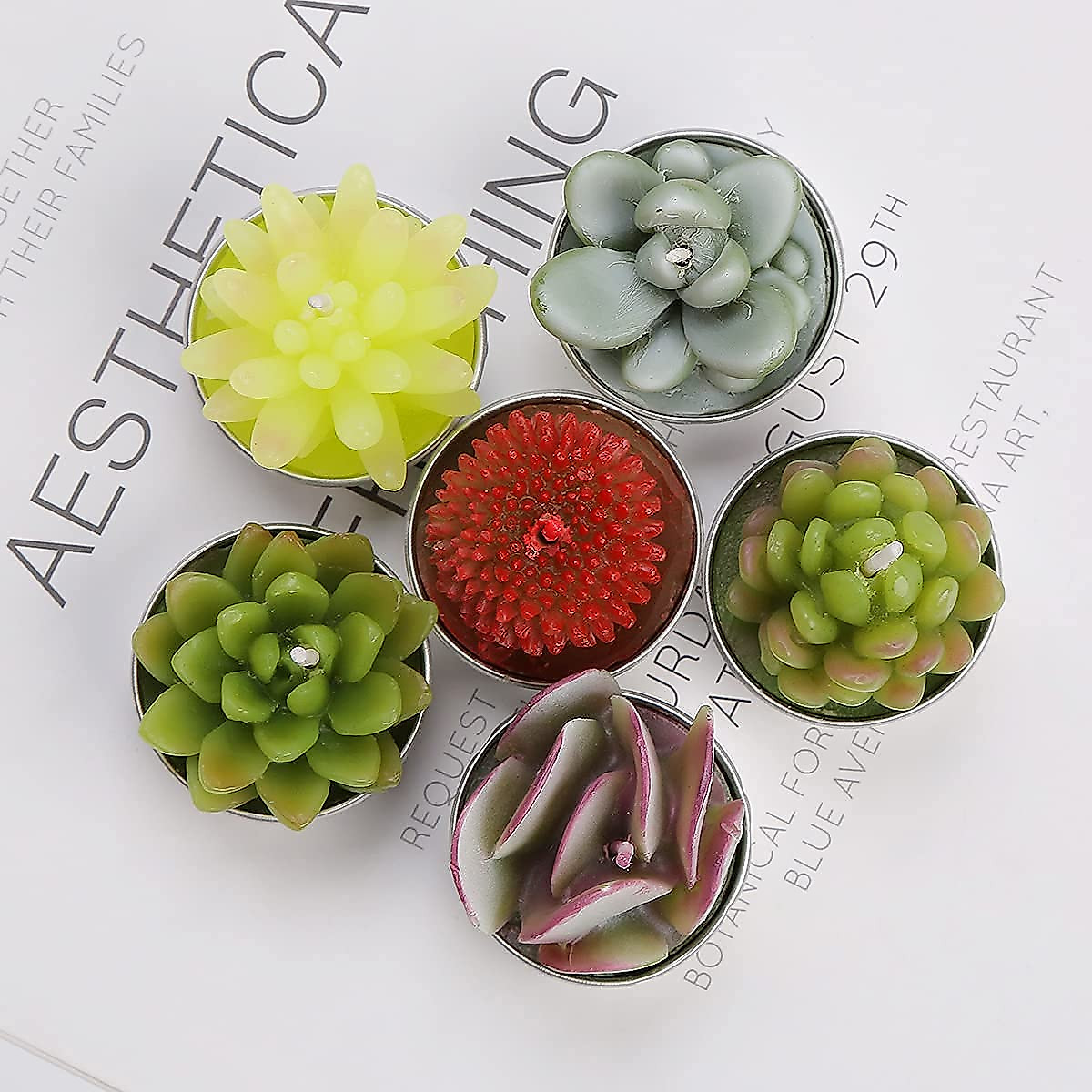 LJQizn 6pcs Cactus Tealight Candles Handmade Delicate Succulent Cactus Candles Tea Lights Perfect for Birthday Party Wedding Spa Home Decor Gifts (6pcs Cactus Candles)