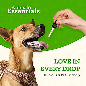 Animal Essentials Heart Health for Dogs & Cats - Cardiovascular Support Supplement, Healthy Heart, Organic Hawthorn Berry, Herbal Tincture - 1 Fl Oz