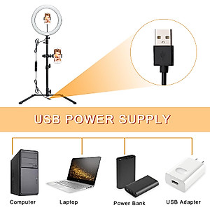 Godox LR120 12" LED Ring Light with Desktop Stand & Phone Holder,3000K-6000K Dimmable Selfie Ring Light,USB Powered Conference Light for Vlogs,YouTube,TikTok,Live Stream,Makeup,Photography (Black)