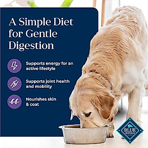 Blue Buffalo Basics Grain-Free Senior Dry Dog Food, Skin & Stomach Care, Limited Ingredient Diet, Turkey Recipe, 4-lb. Bag