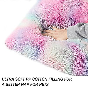 Patas Lague Soft Plush Small Dog Bed for Small Dogs 26''x20''x4'', Faux Fur Fluffy Dog Crate Mat Pet Cat Kennel Pad with Anti-Slip Bottom, Machine Washable Rainbow1