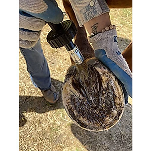 Pure Sole Hoof Oil - All Natural Hoof Conditioner for Horses with Hoof Oil Brush Applicator - Strengthens, Moisturizes and Treats Hoof Problems - 16 fl oz.