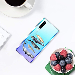 Suhctup Flexible Silicone Gel TPU Bumper Case for Huawei Honor 8C Transparent Anti-Shock Protective Cover 5 Fish Design