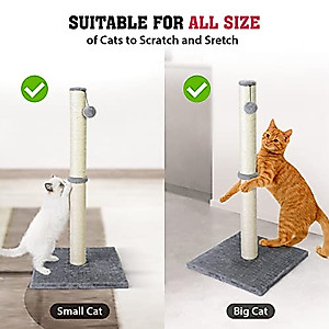 petellow 31'' Tall Cat Scratching Post - Cat Claw Scratcher with Hanging Ball - Scratching Posts for Indoor Large Cats - Durable Stable Cat Furniture with Sisal Rope - Cat Scratch Post-Grey