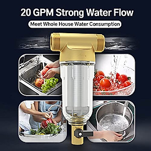 Besdor Swater 1 Spin Down Sediment Filter For Well Water, Reusable Whole House Pre-Filter System, 40 Micron, 316L Stainless Steel Mesh, Solid Lead-Free Brass, 1” MNPT + 3/4” FNPT + 3/4" MNPT